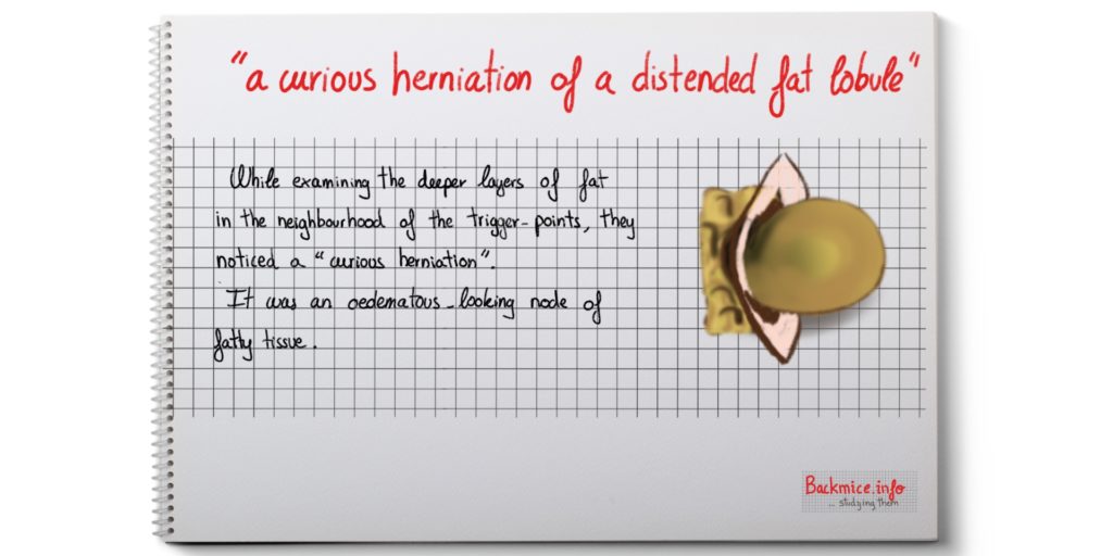 image 1949 Copeman hernia | backmice.info
