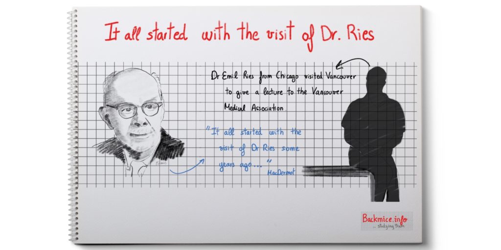 Sacro-iliac lipomata (or back mice) | backmice.info