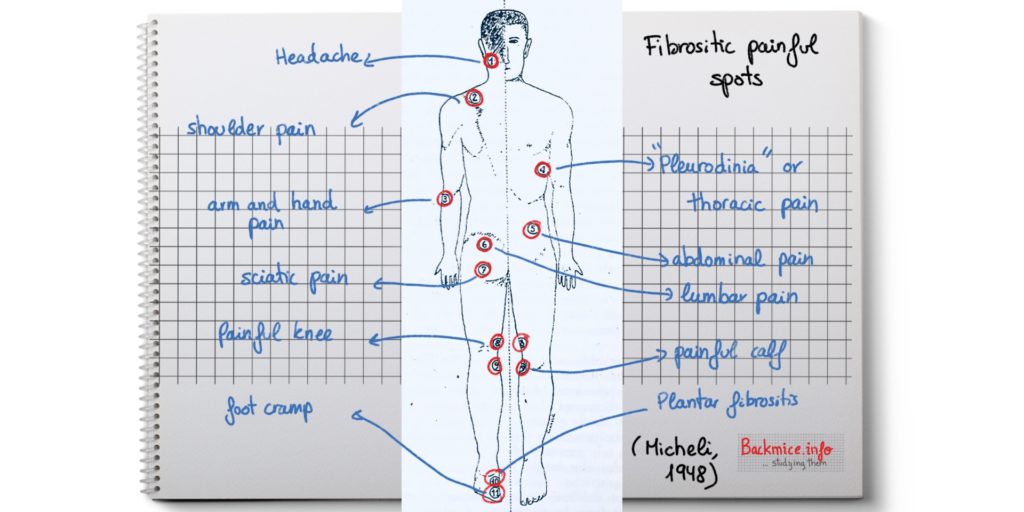 1948 Micheli – Fibrosite | backmice.info