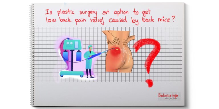 Is plastic surgery an option for back mice?